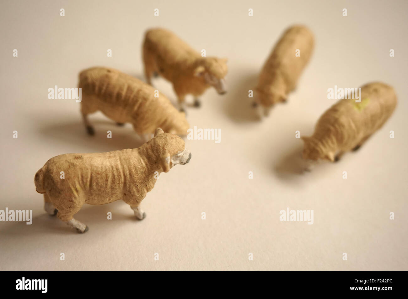 Toy farm animals - sheep Stock Photo - Alamy