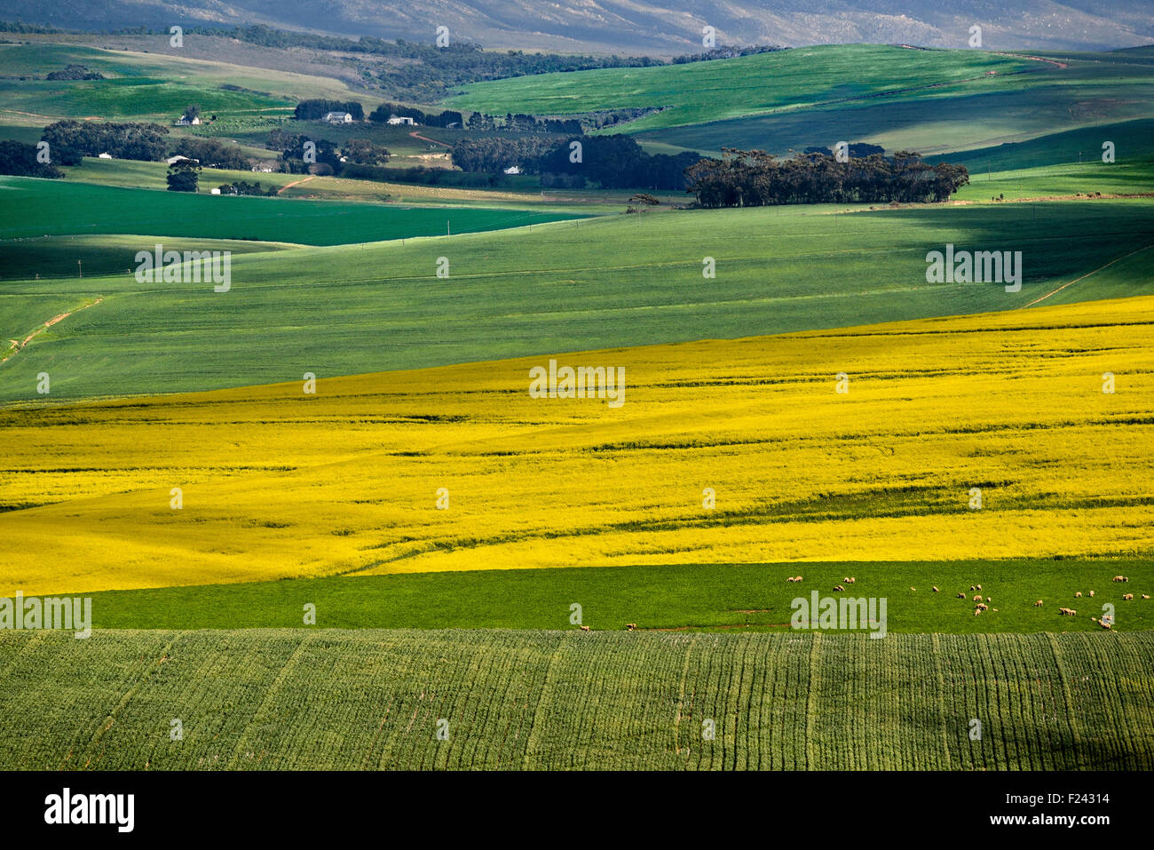 South Africa, country landscape Stock Photo - Alamy