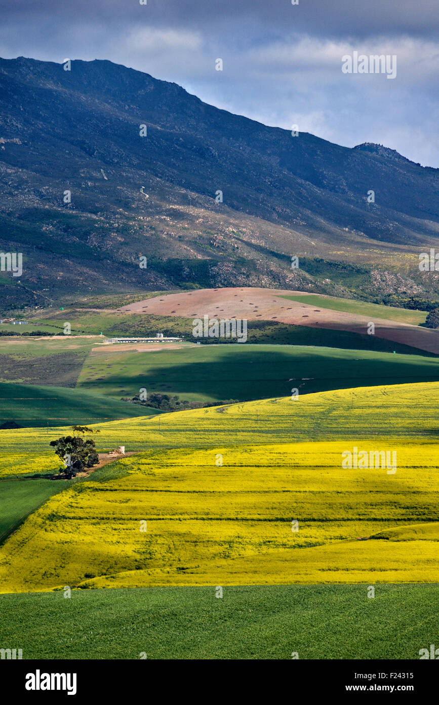 South Africa, country landscape Stock Photo - Alamy