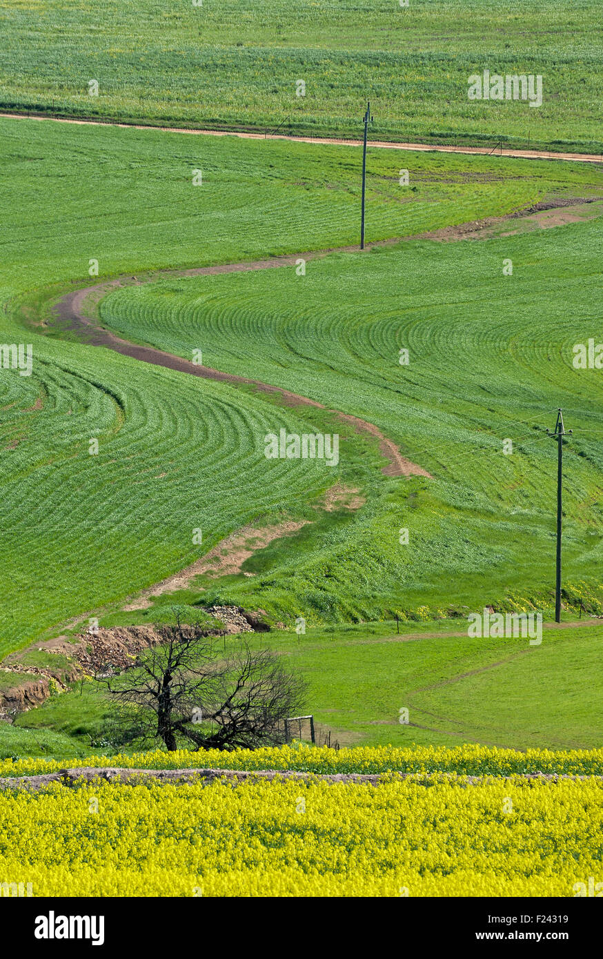 South Africa, country landscape Stock Photo - Alamy