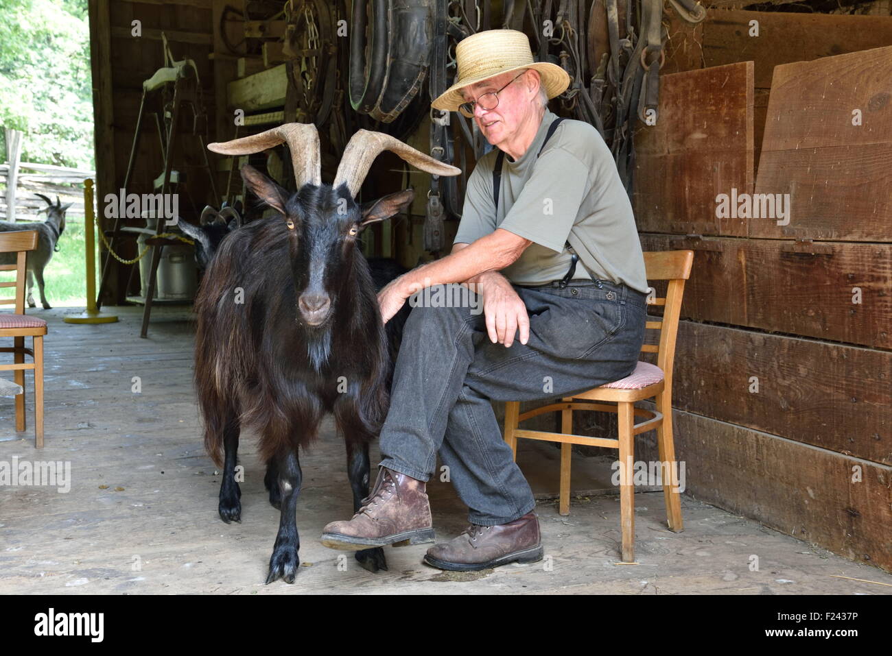a farmer with his goat at the old bethpage village restoration Long ...