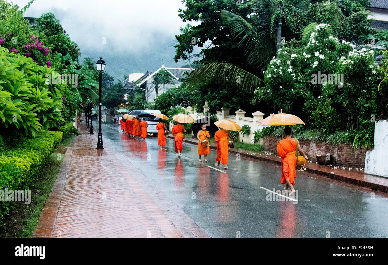 Buddhist monks collect alms free food charity Stock Photo - Alamy
