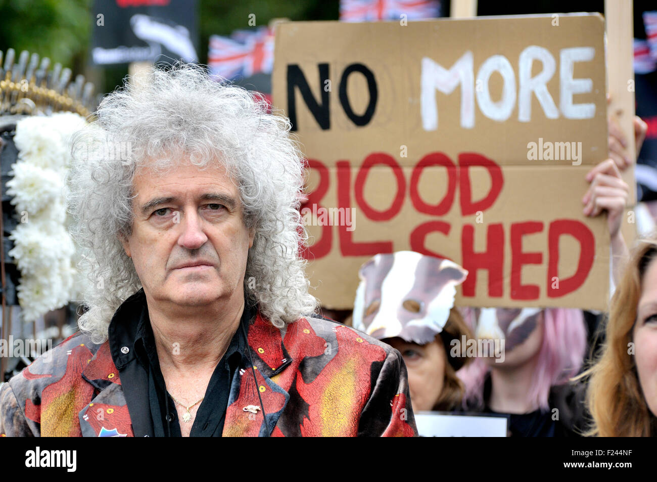 Brian may queen wildlife hi-res stock photography and images - Alamy