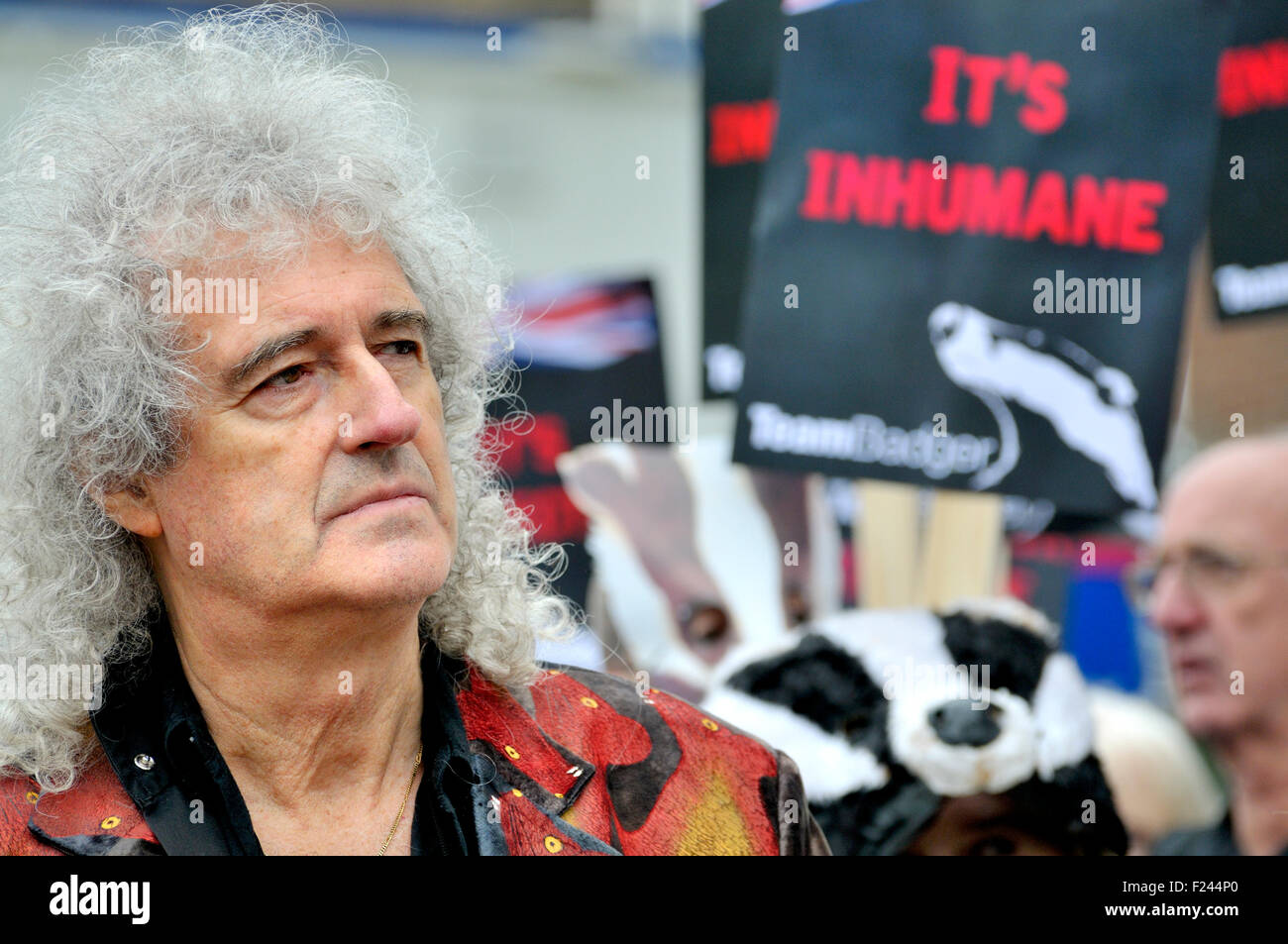 Brian May, former Queen guitarist, campaigning at the Protest Against ...