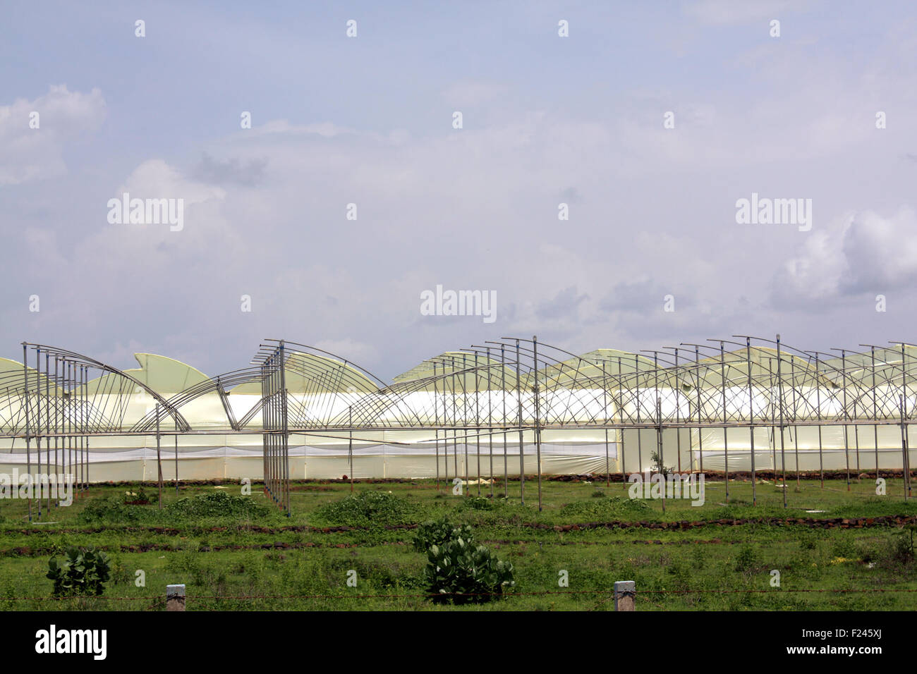 Greenhouses structure hi-res stock photography and images - Alamy