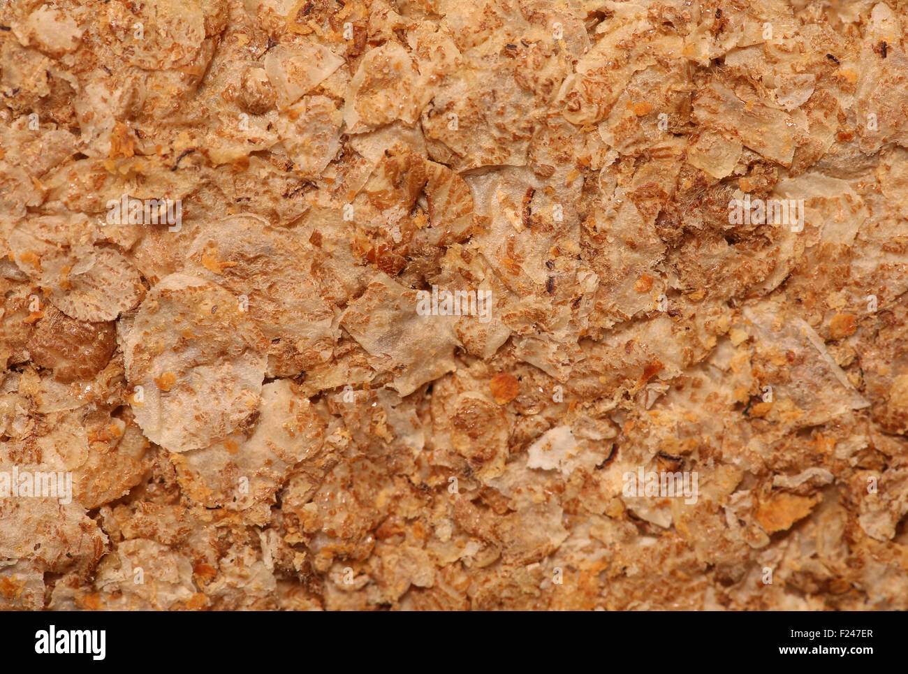wheat cereal abstract background texture Stock Photo - Alamy