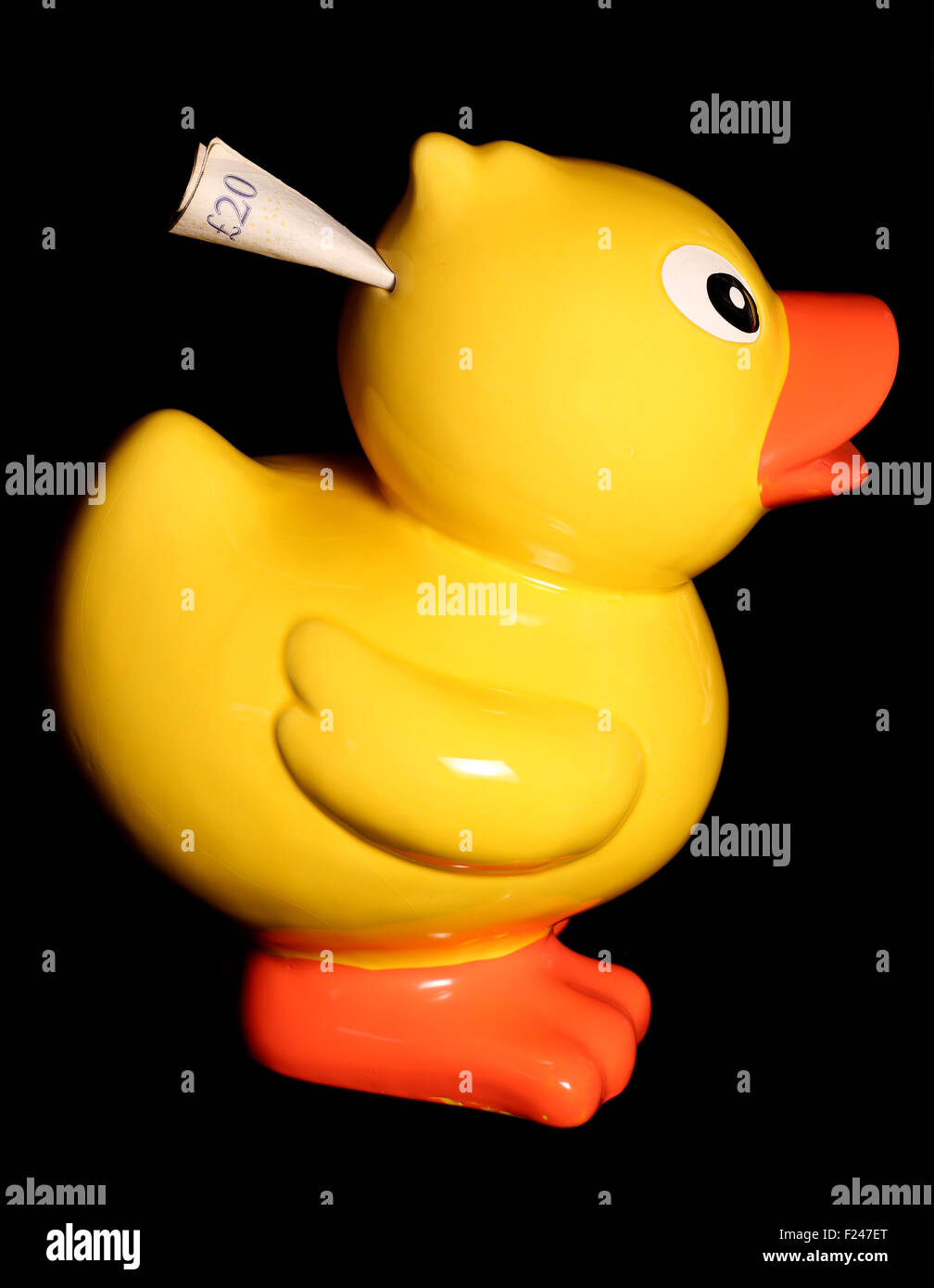 Duckling money box with twenty pound note cutout Stock Photo - Alamy