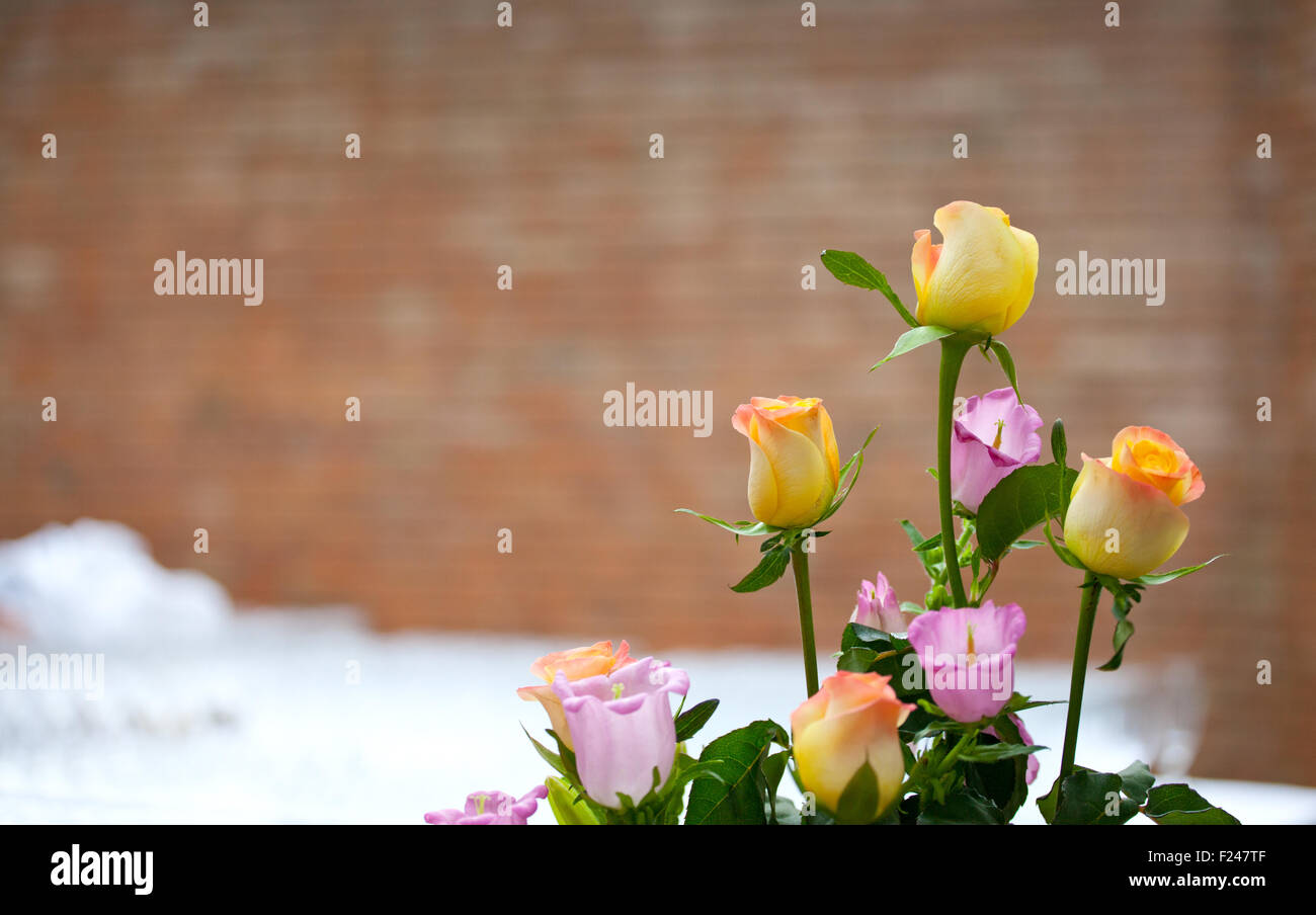 Bouquet of assorted multicolored roses Stock Photo - Alamy