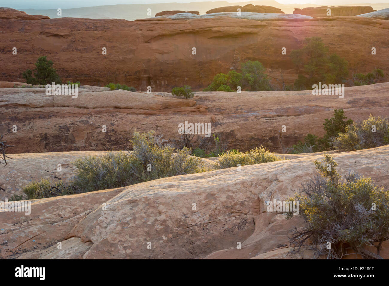Layers of slick rock along the Devils Garden Trail Stock Photo - Alamy