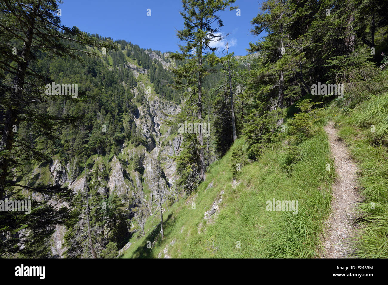 hiking trail through a forest canyon to mountain Schellschlicht ...