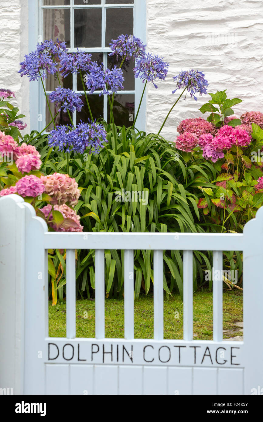 Front door cottage cornwall hi-res stock photography and images - Alamy