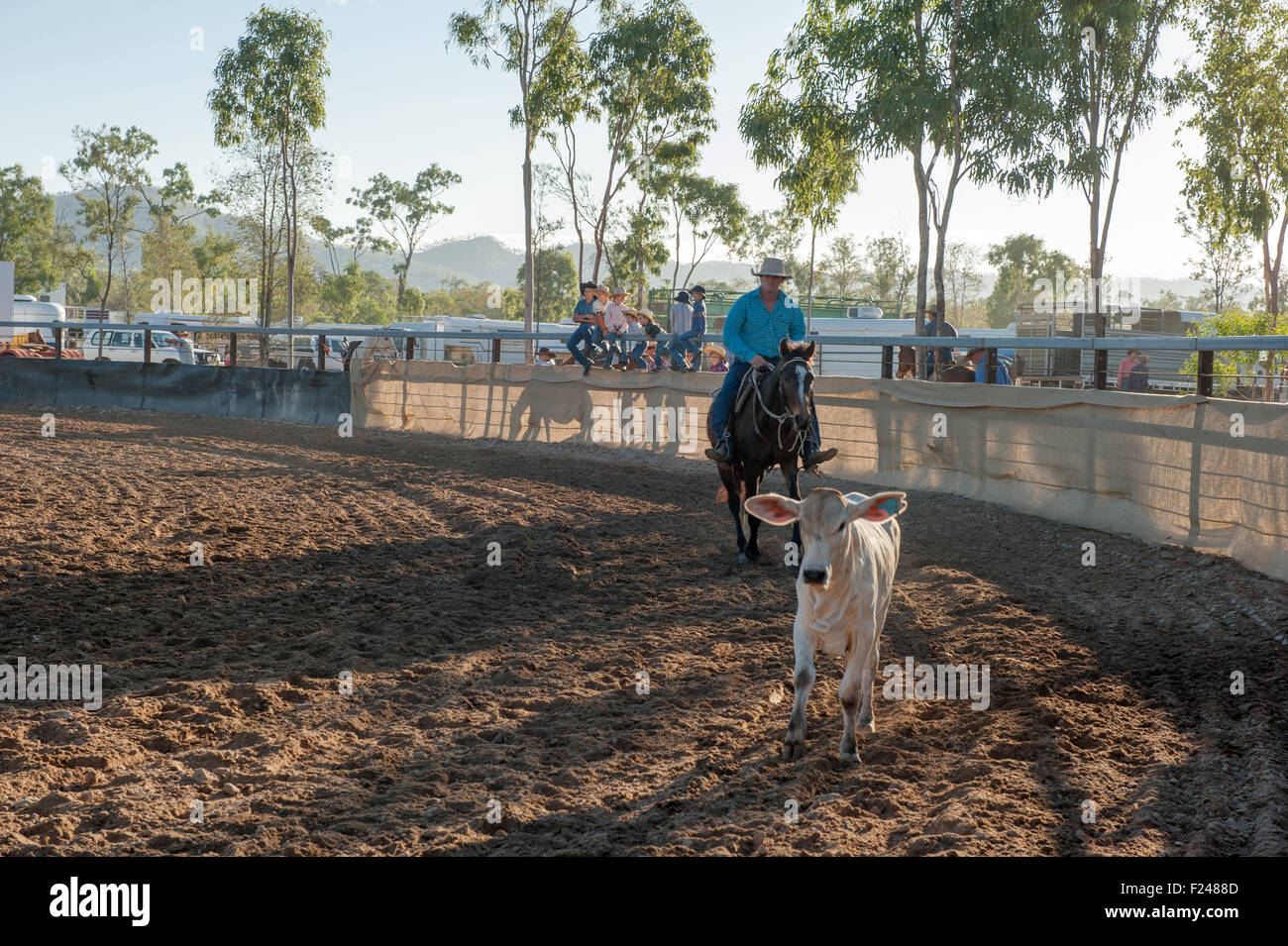 Stockman at the campdraft contest of the Eureka Creek Rodeo, Outback ...