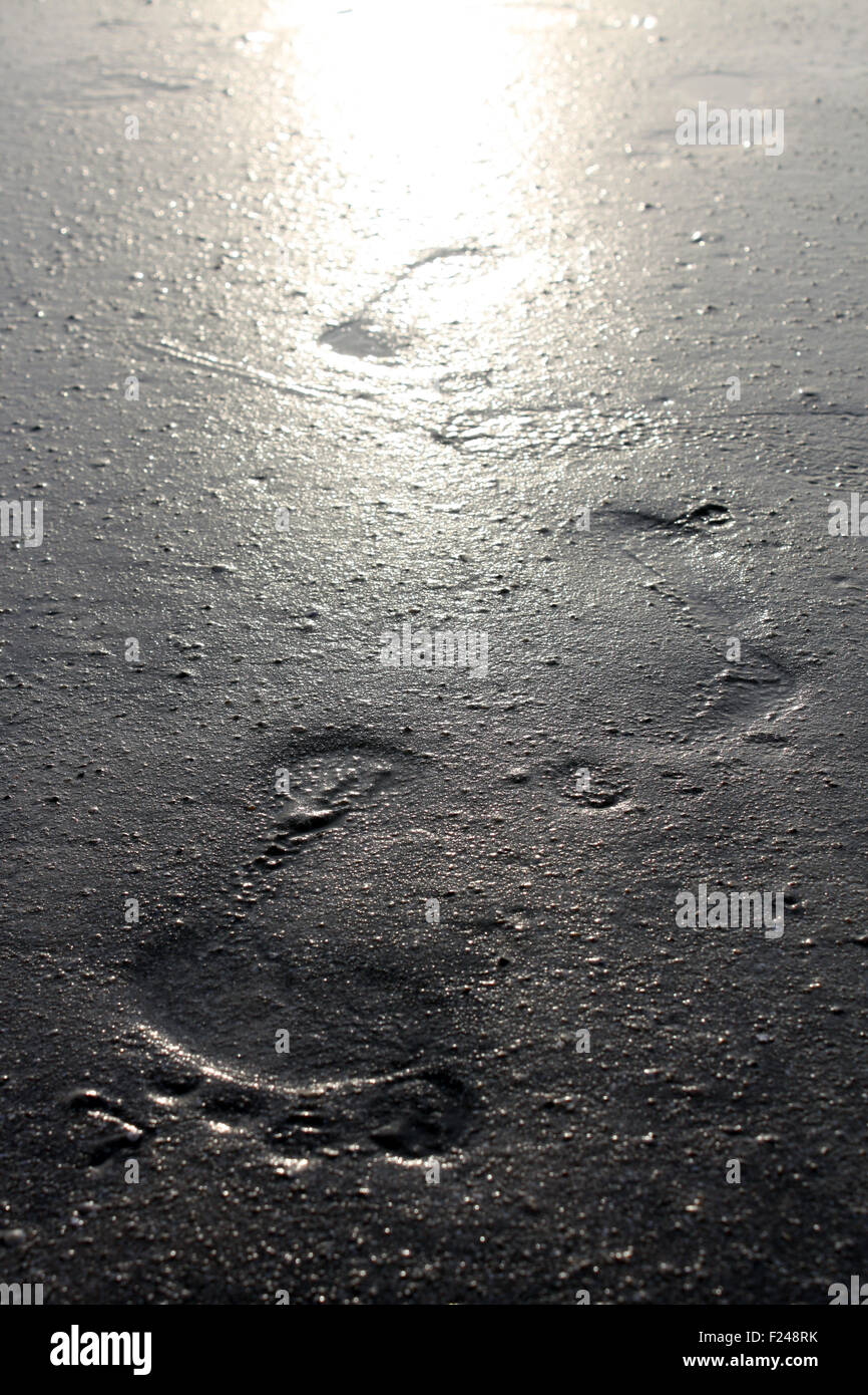 A metaphorical image showing the legacy of a human left behind in ...