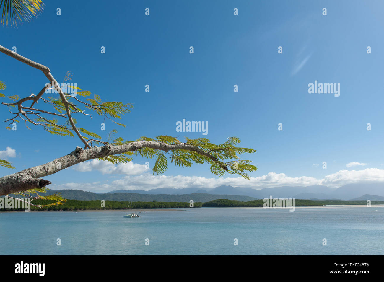 Dickson inlet port douglas hi-res stock photography and images - Alamy