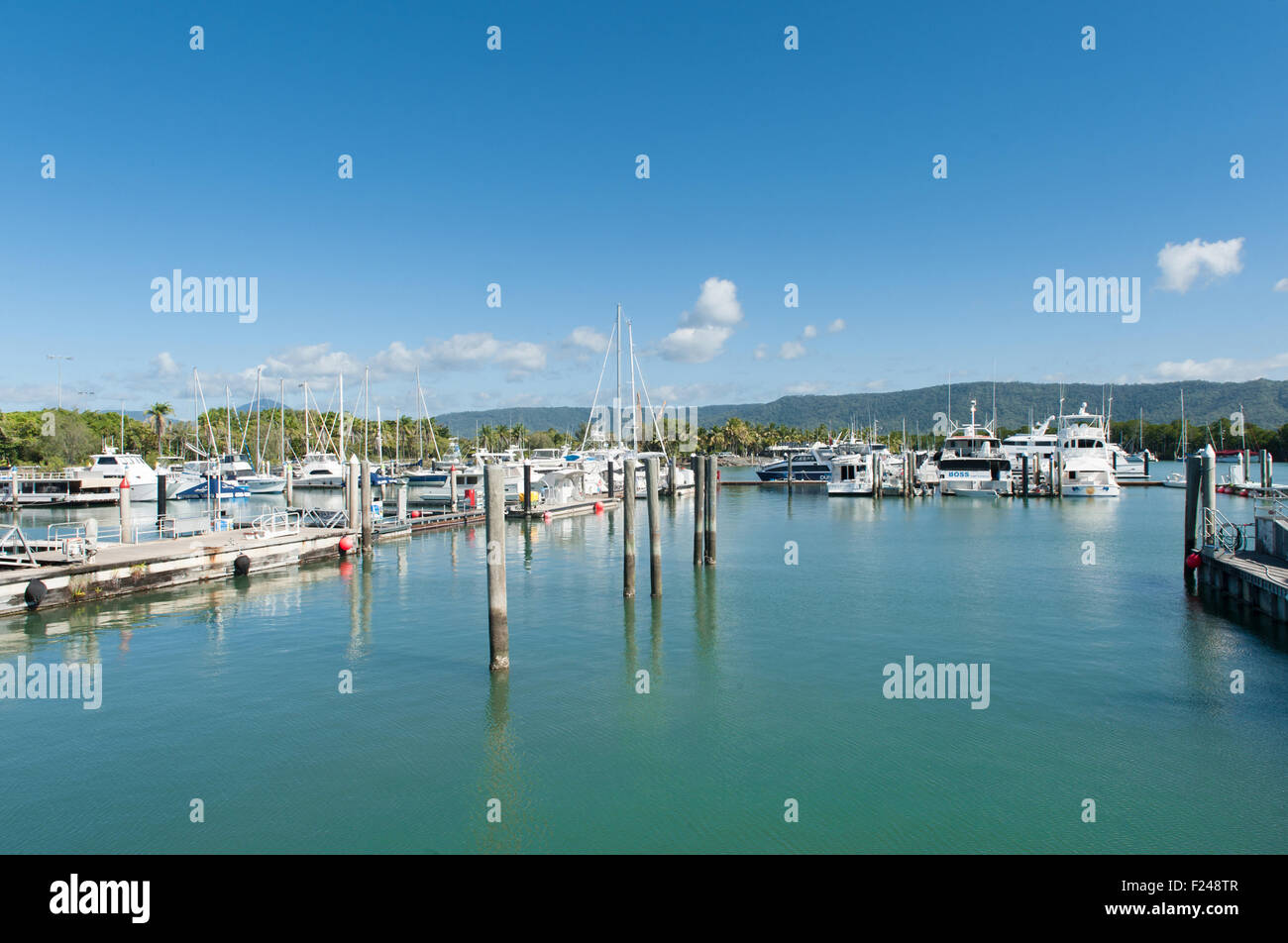The Dickson Inlet of Port Douglas in tropical Queensland is home to a ...
