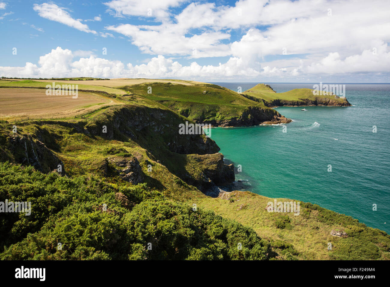 Coastal sea cliffs from Rumps Point, Cornwall, UK Stock Photo - Alamy