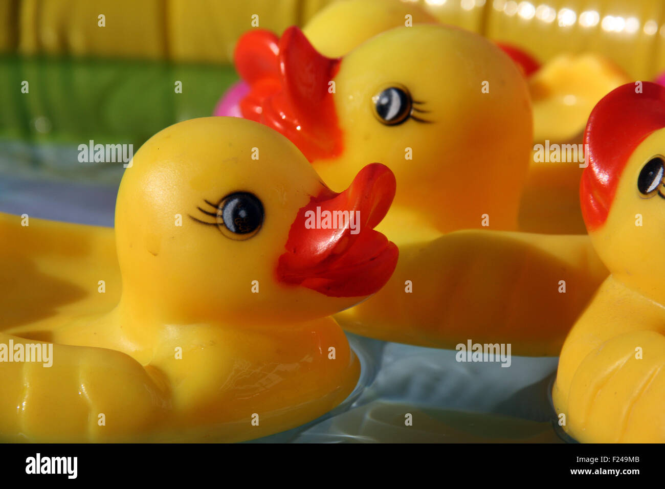 Rubber ducks hi-res stock photography and images - Alamy