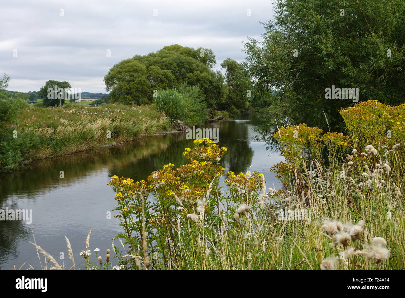 River Teviot in Scottish Borders beside Born in the Borders Tourist ...