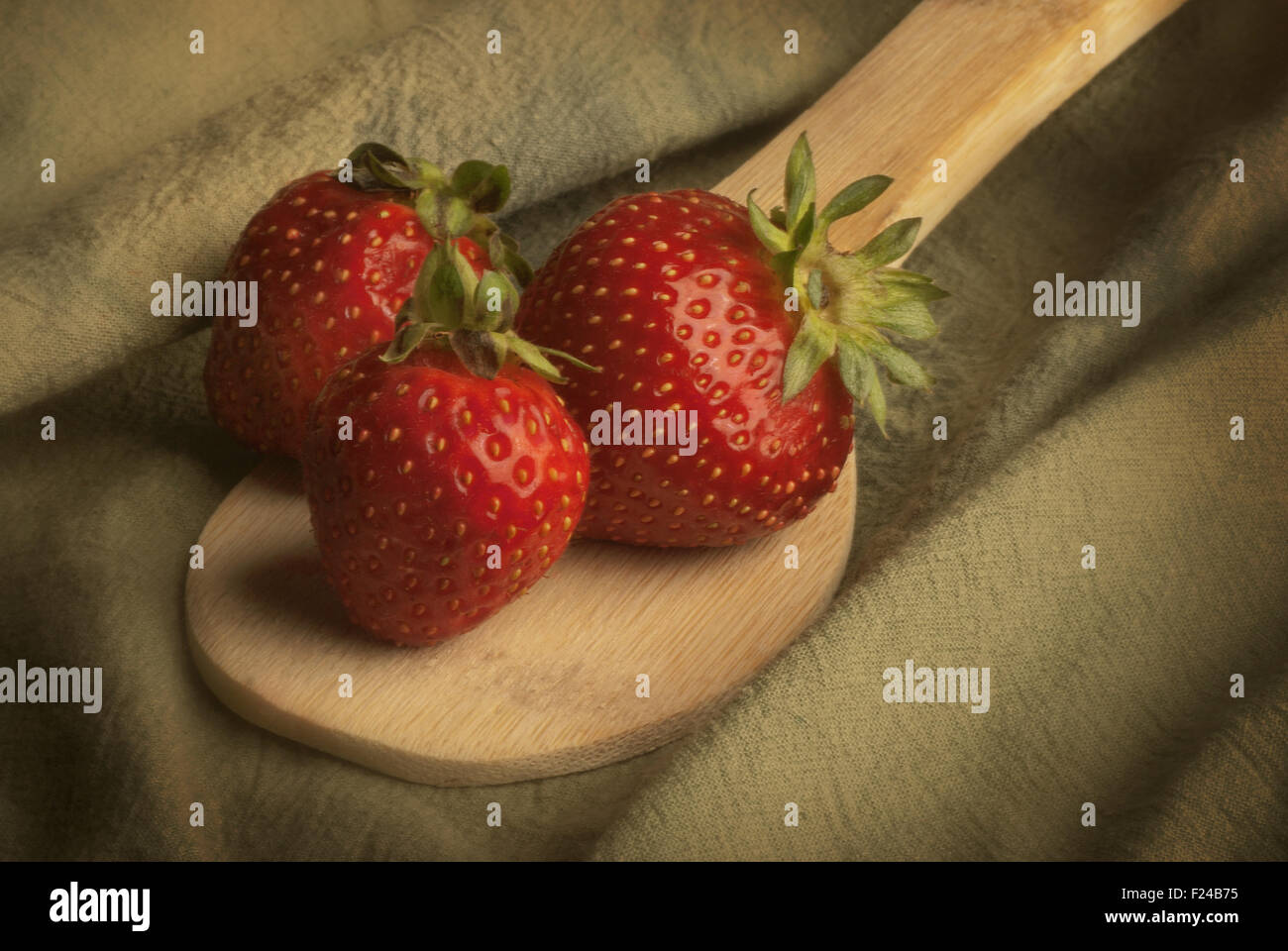 Fieldberry hi-res stock photography and images - Alamy