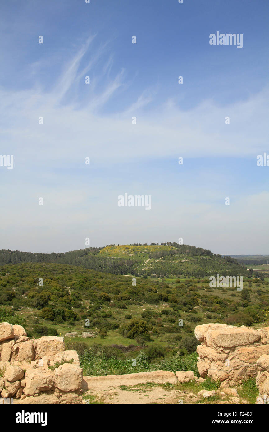 Israel, Shephelah, remains of the western City Gate at Khirbet Qeiyafa ...