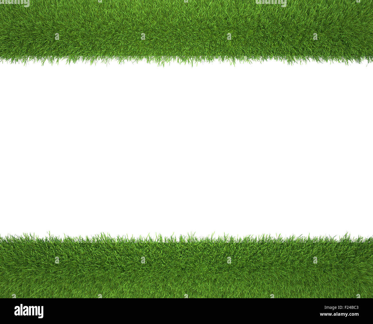 Frame made of green grass isolated on white background Stock Photo - Alamy