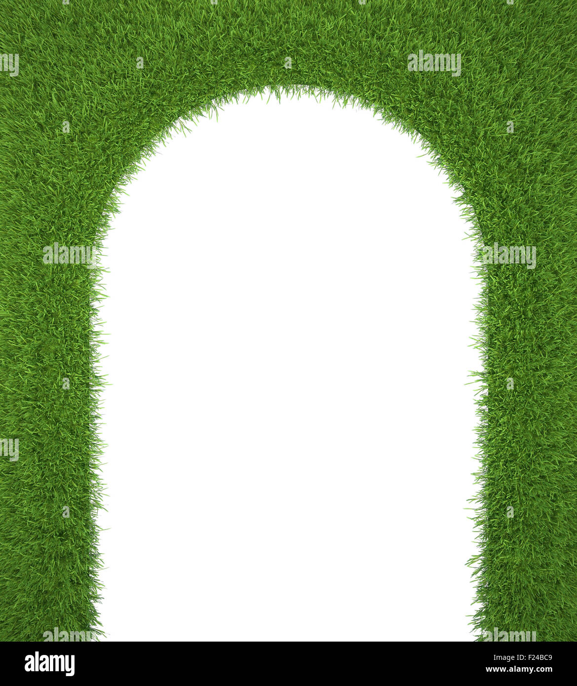 Frame made of green grass isolated on white background Stock Photo - Alamy