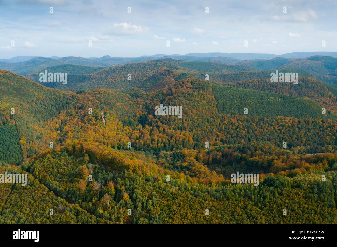 France, Bas Rhin (67), Natural Regional Park of Northern Vosges ...