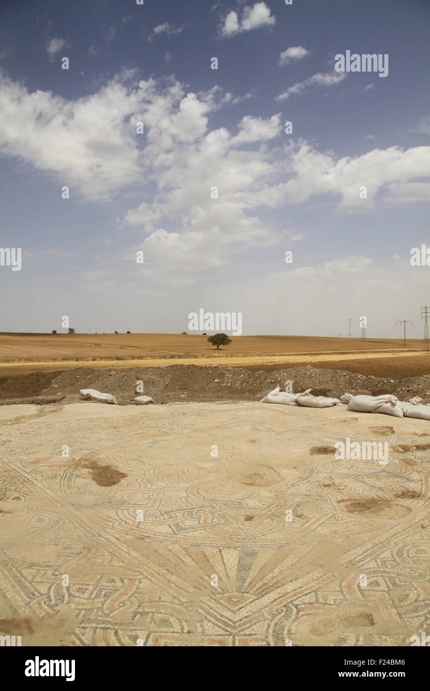 A Byzantine mosaic floor discovered in the fields of Kibbutz Beit Kama ...