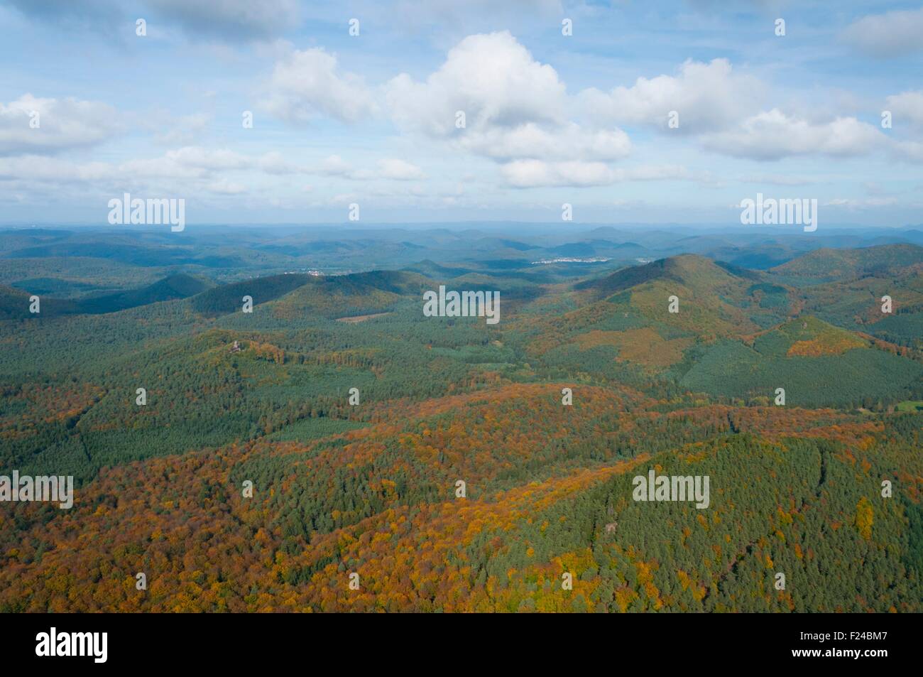 France, Bas Rhin (67), Natural Regional Park of Northern Vosges ...