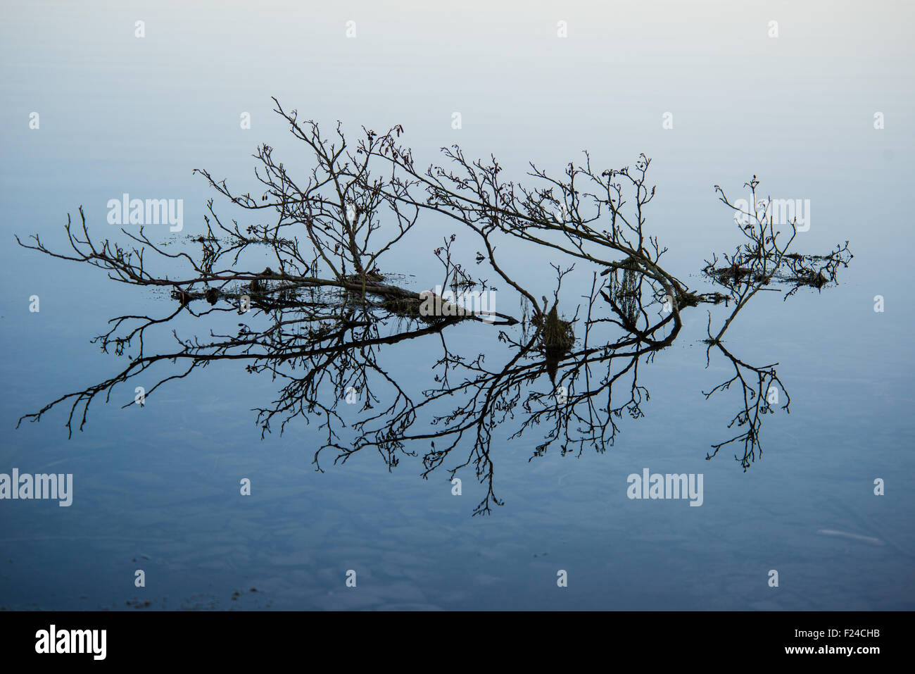 Water reflection reflects reflect hi-res stock photography and images ...