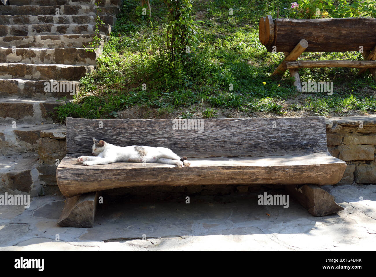 Cat sleeping on a bench in architectural, ethnographic museum Etara ...