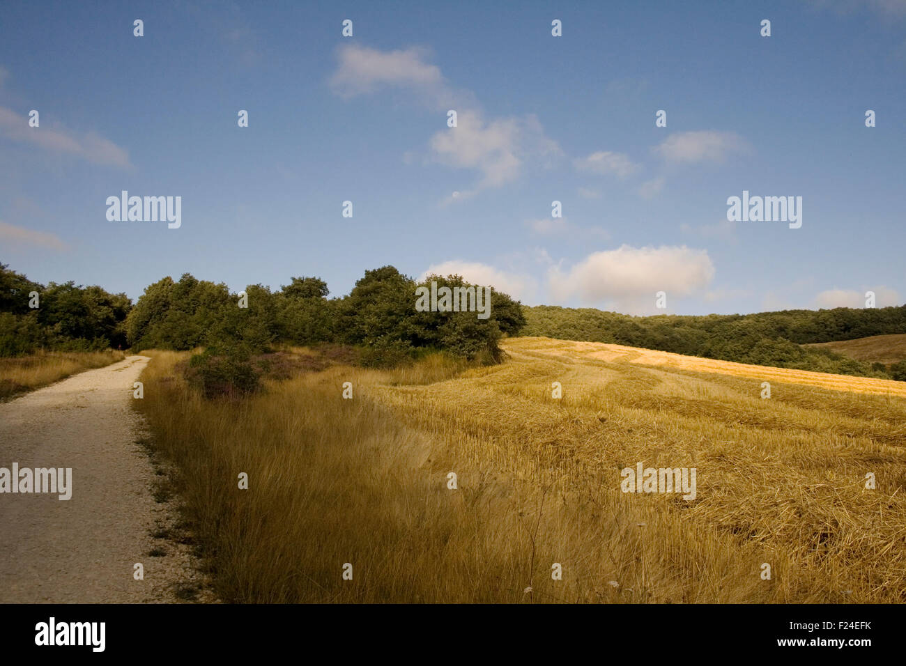 Way of St. James, Spanish countryside in the summer Stock Photo - Alamy