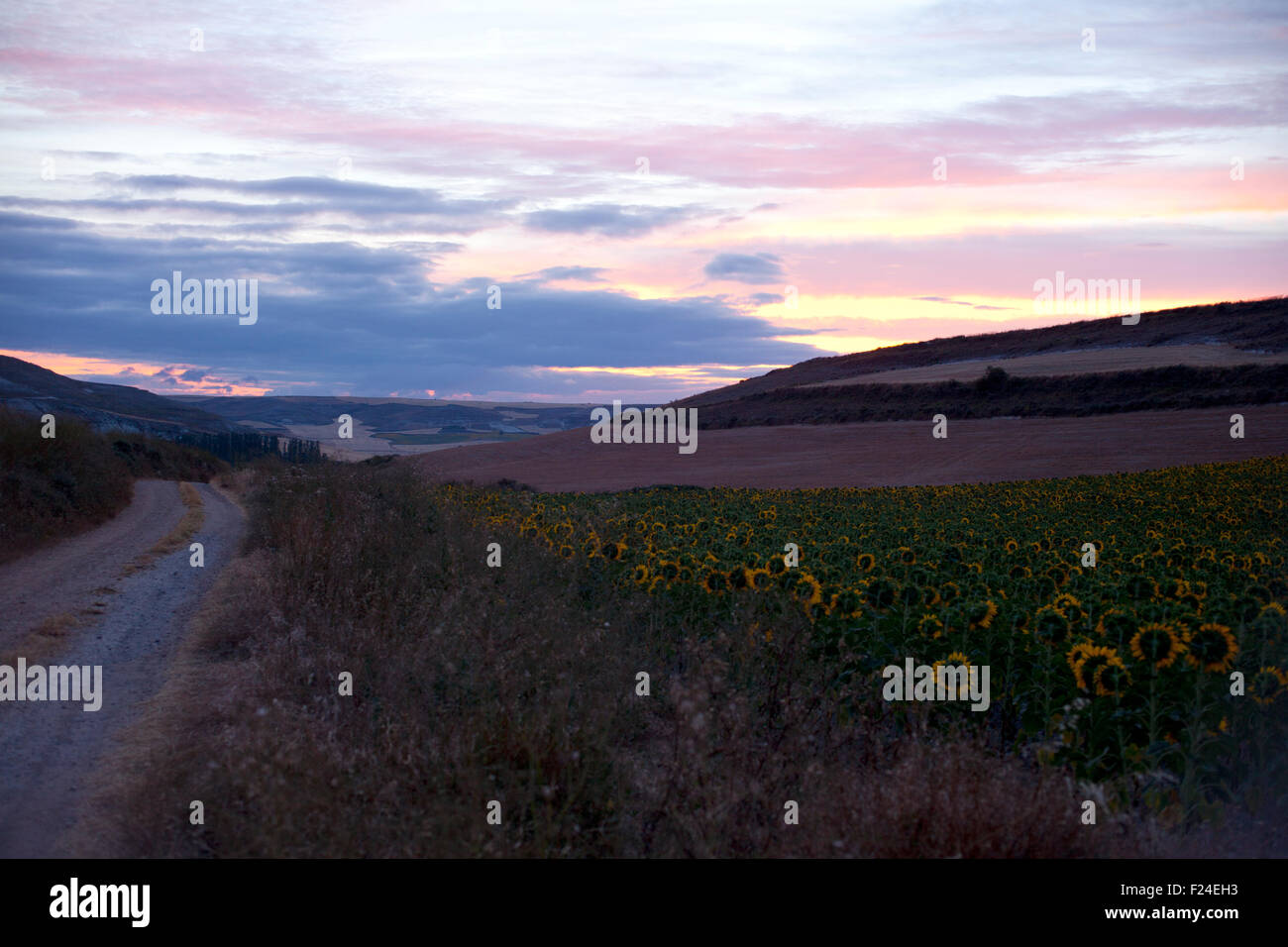 Sunrise in the rural scene in the spanish countryside, Spain Stock ...