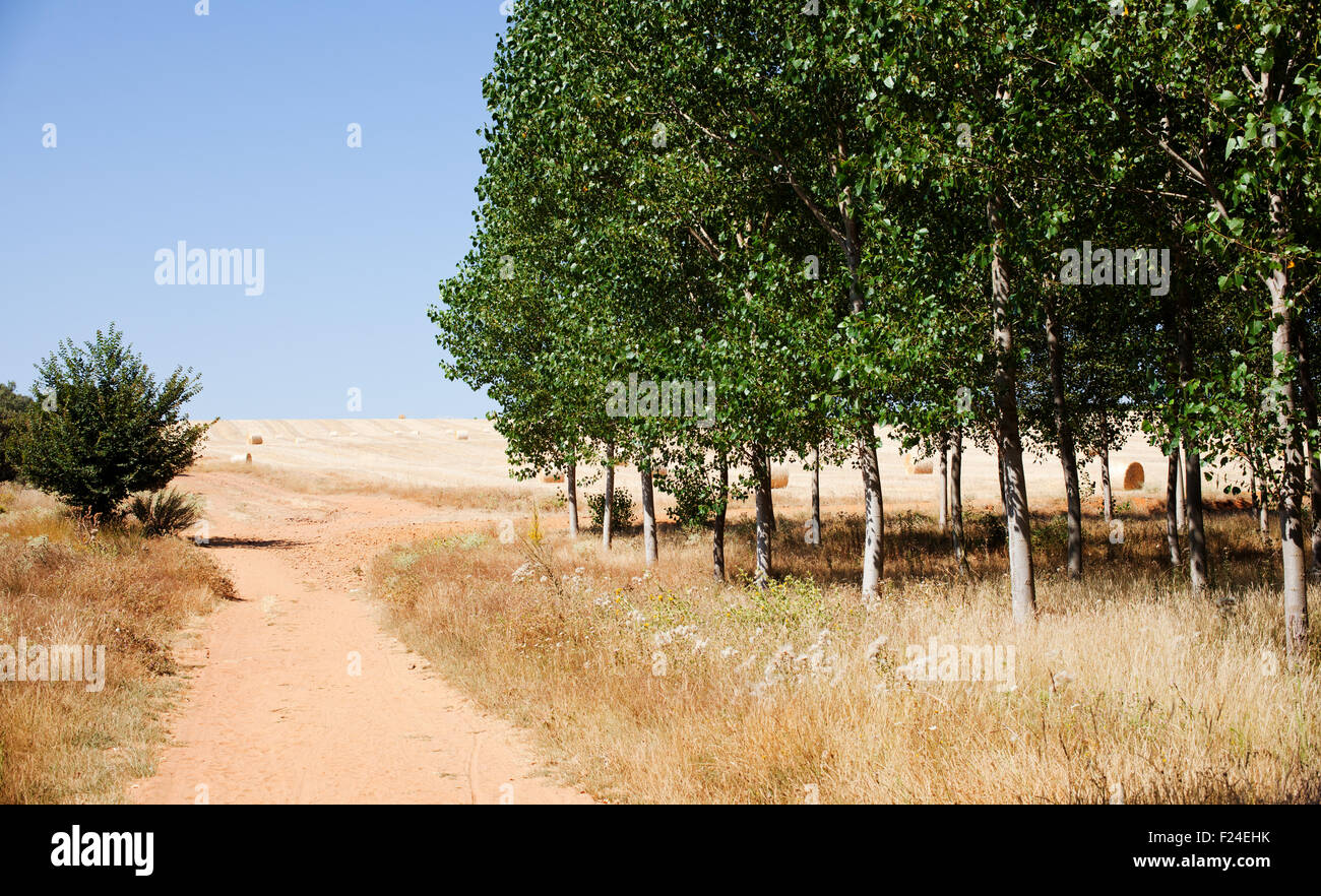 Road in the countryside, Spain Stock Photo - Alamy