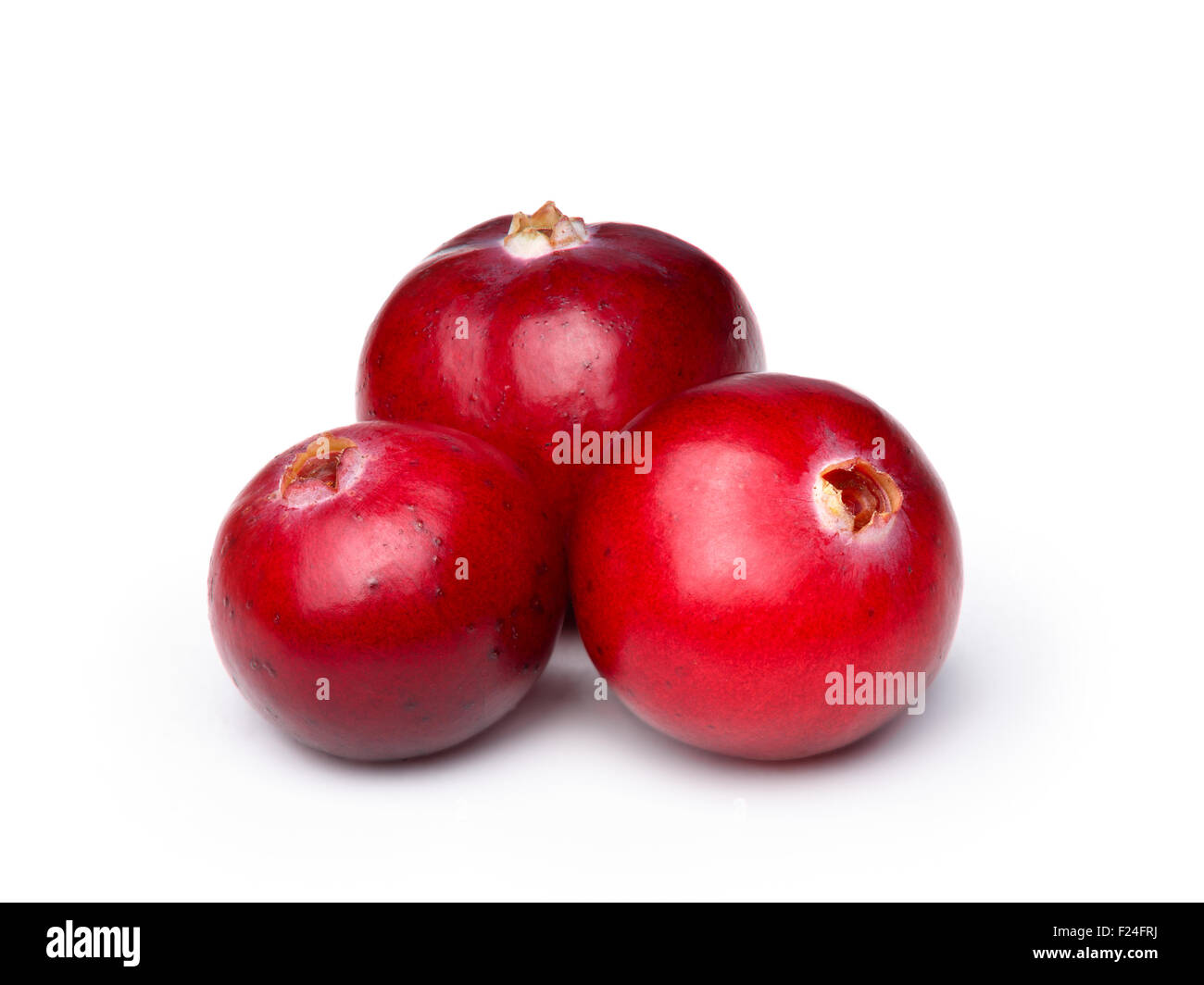 One Cranberry Fruit