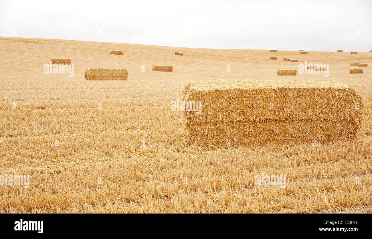 Bales of hay, spanish countryside Stock Photo - Alamy