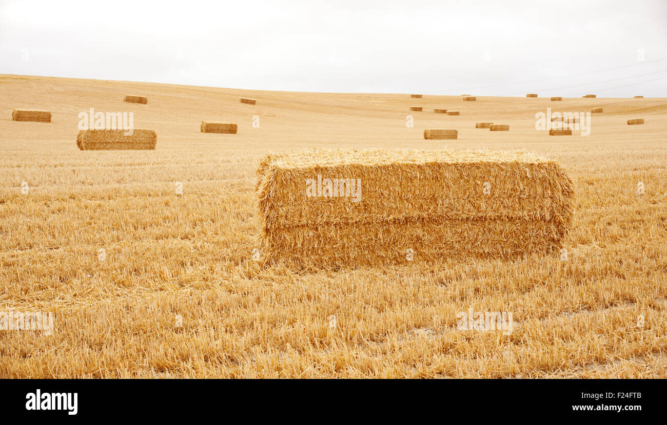 Bales of hay, spanish countryside Stock Photo - Alamy