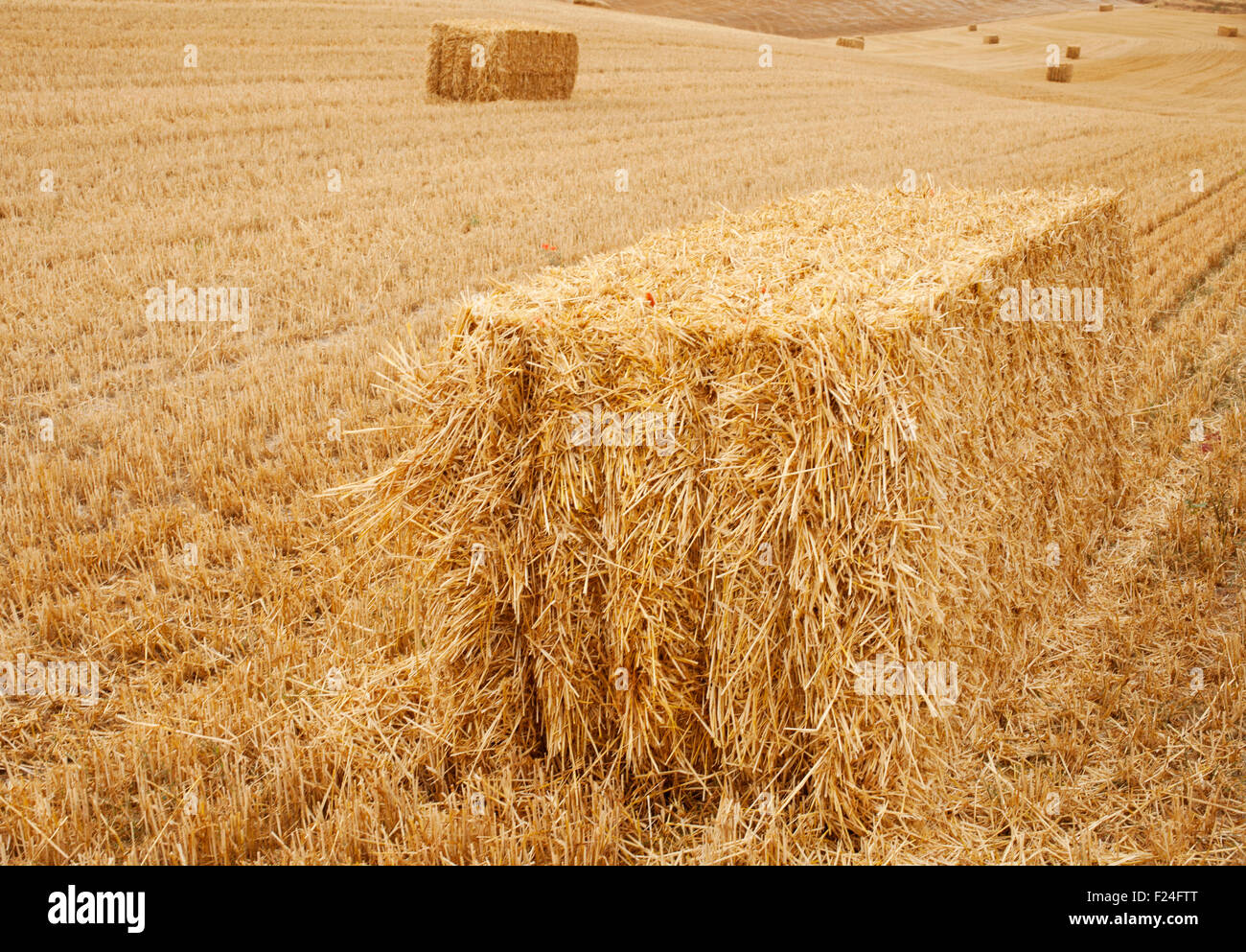 Bales of hay, spanish countryside Stock Photo - Alamy