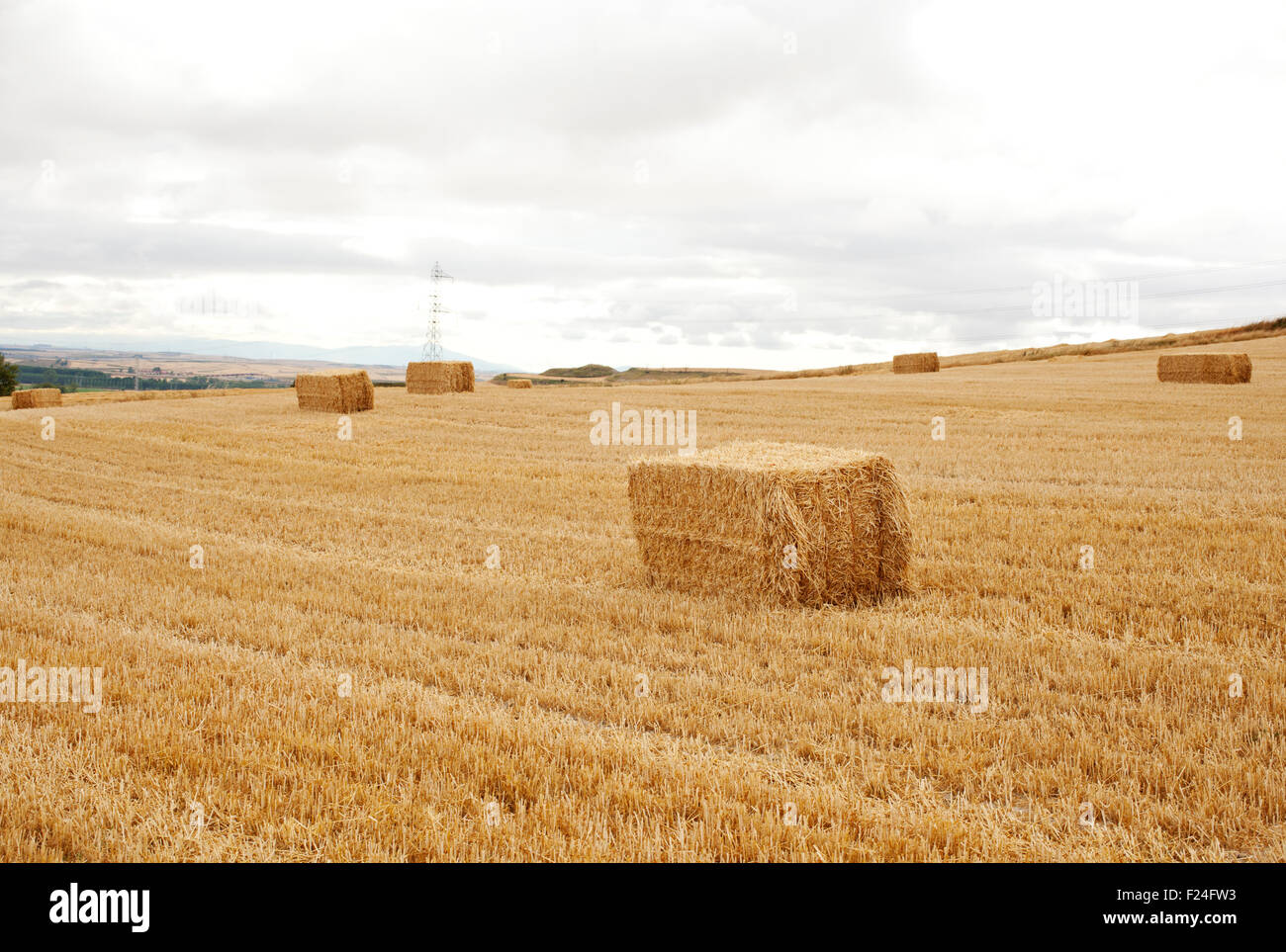 Bales of hay, spanish countryside Stock Photo - Alamy