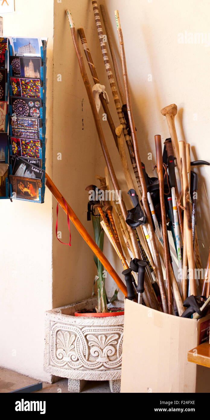 Pilgrims staff hi-res stock photography and images - Alamy