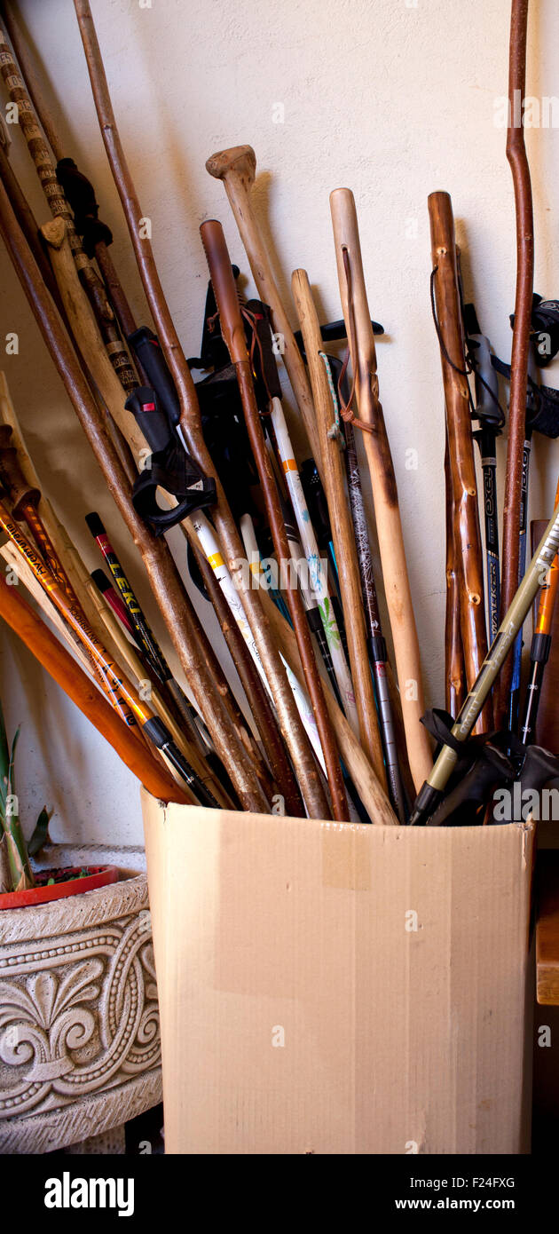 Pilgrims staff hi-res stock photography and images - Alamy