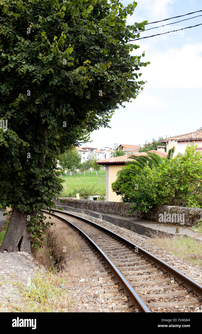 Tree next to it hi-res stock photography and images - Alamy
