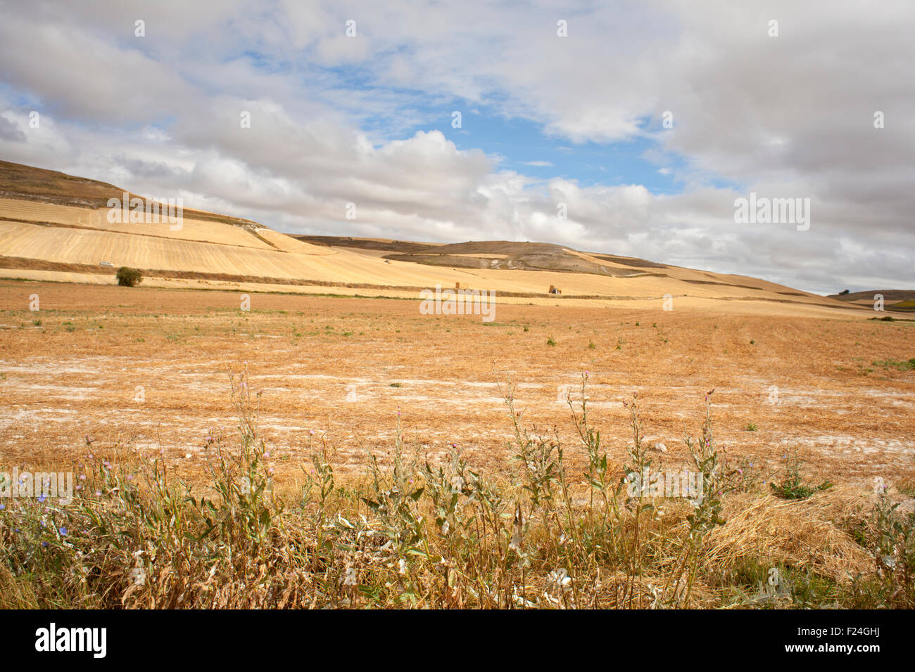 View of spanish countryside Stock Photo - Alamy