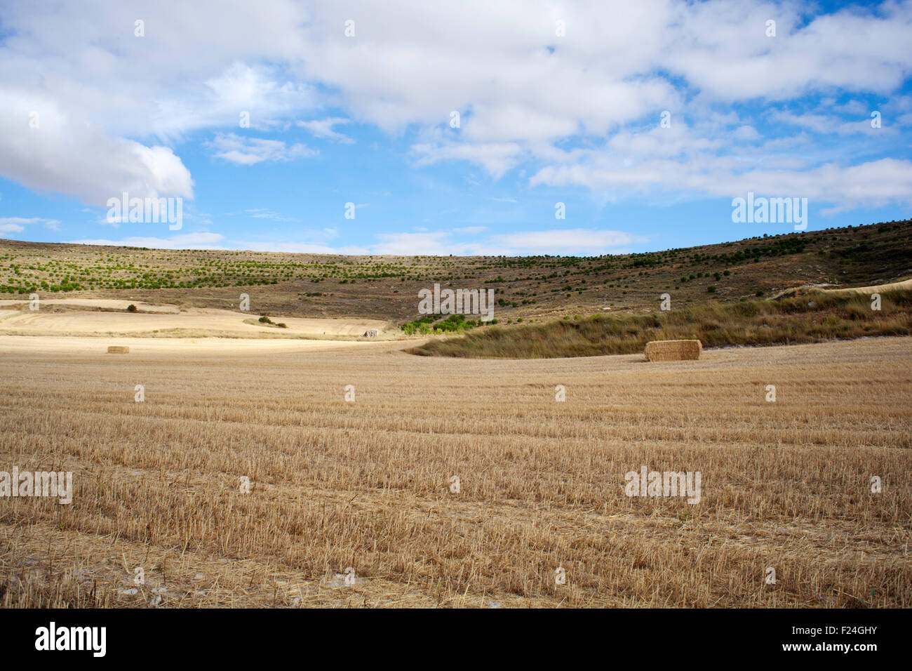Scene st james hi-res stock photography and images - Alamy