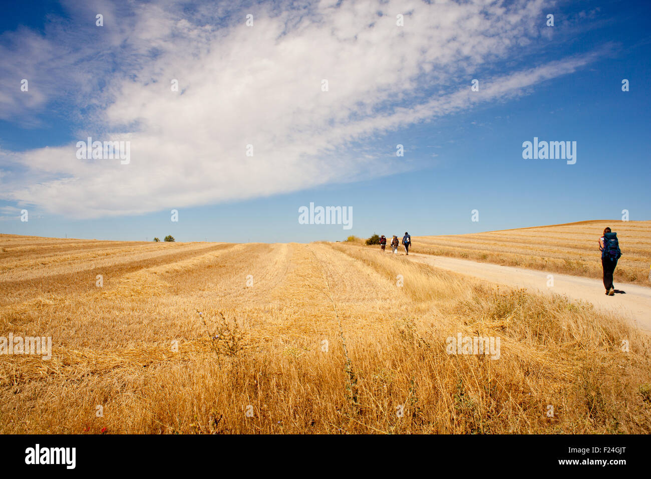 Pilgrims, way of St. James in Spain Stock Photo - Alamy