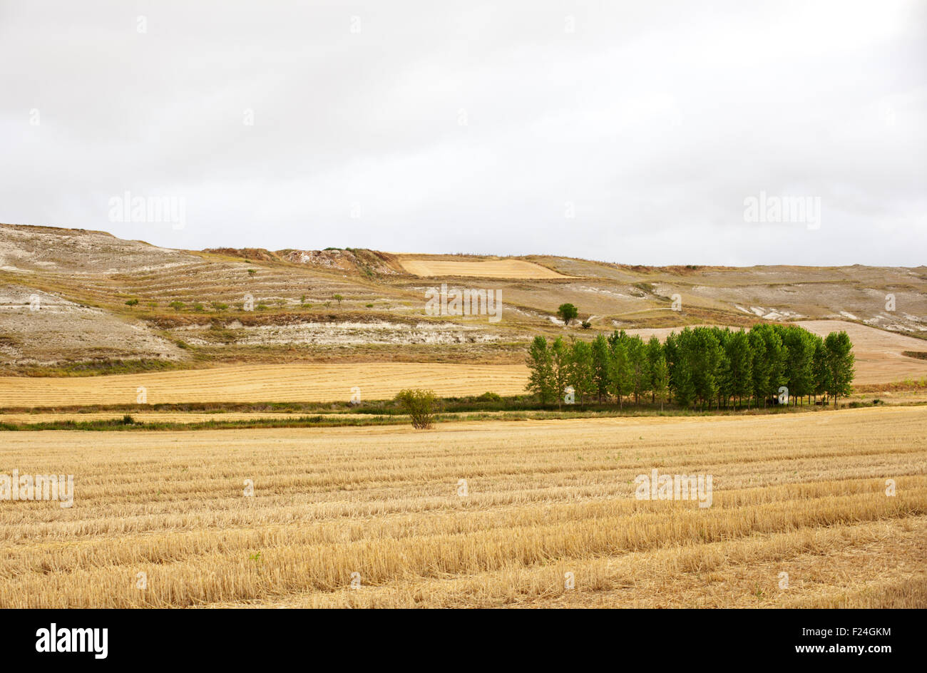 View of spanish countryside Stock Photo - Alamy