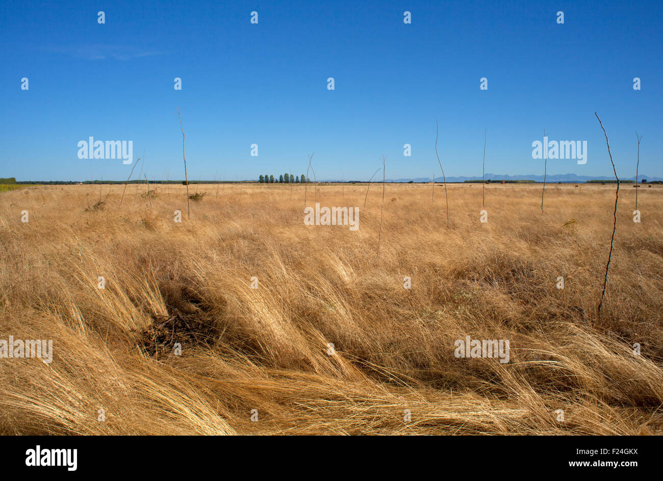 Rural scene in the spanish countryside Stock Photo - Alamy