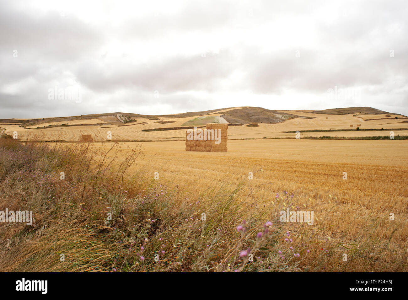 Bales of hay, spanish countryside Stock Photo - Alamy