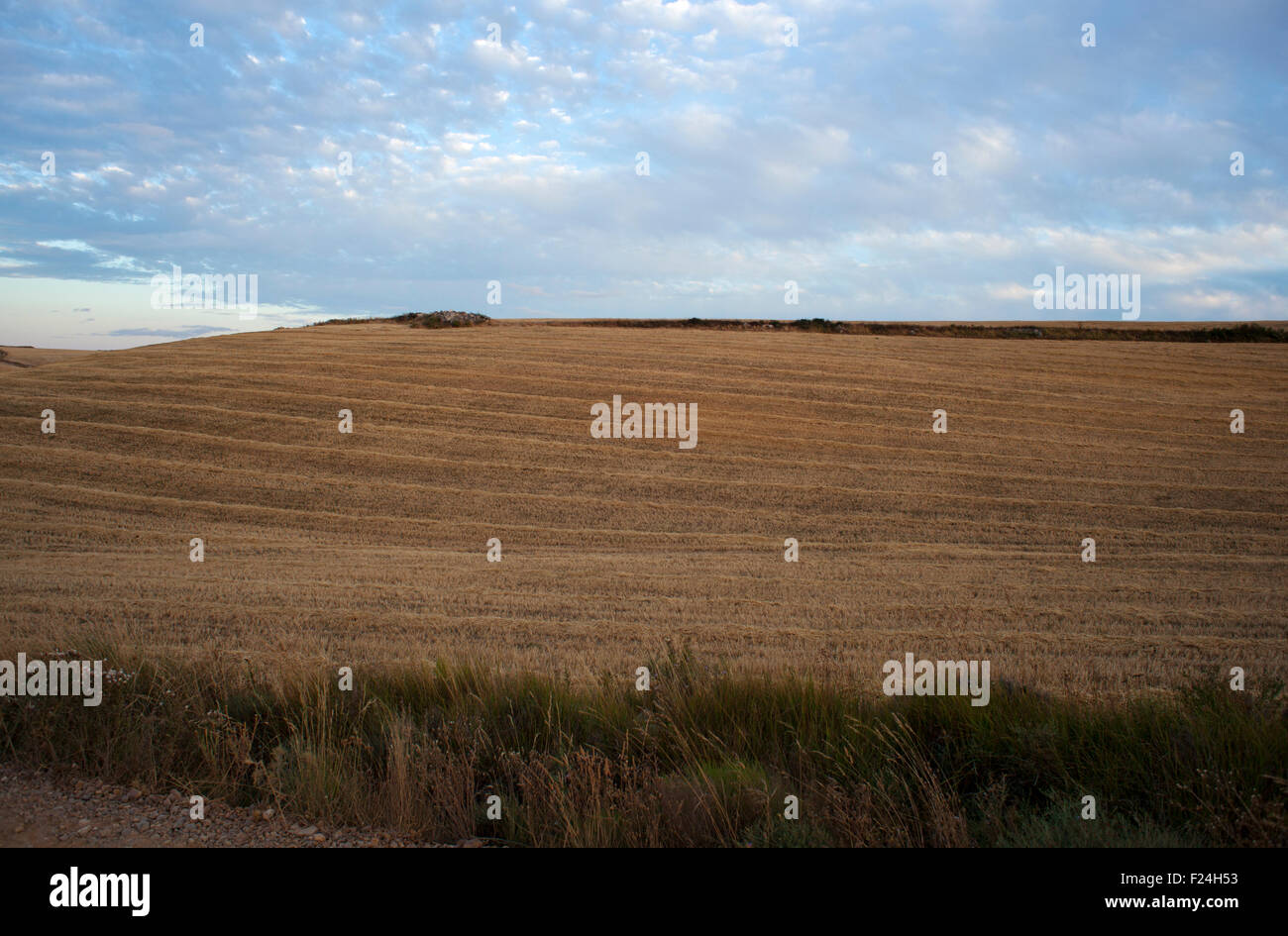 Rural scene in the spanish countryside Stock Photo - Alamy