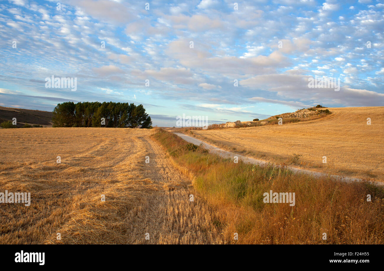 Rural scene in the spanish countryside Stock Photo - Alamy